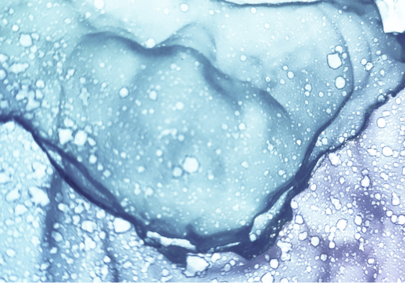 Approved Users or WaterMark Licensees | WaterMark